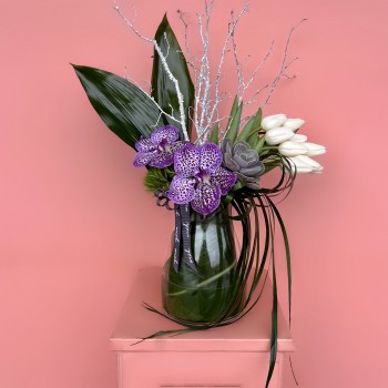 Benjamin Çiçeği Bakımı - Wish Flowers & Design